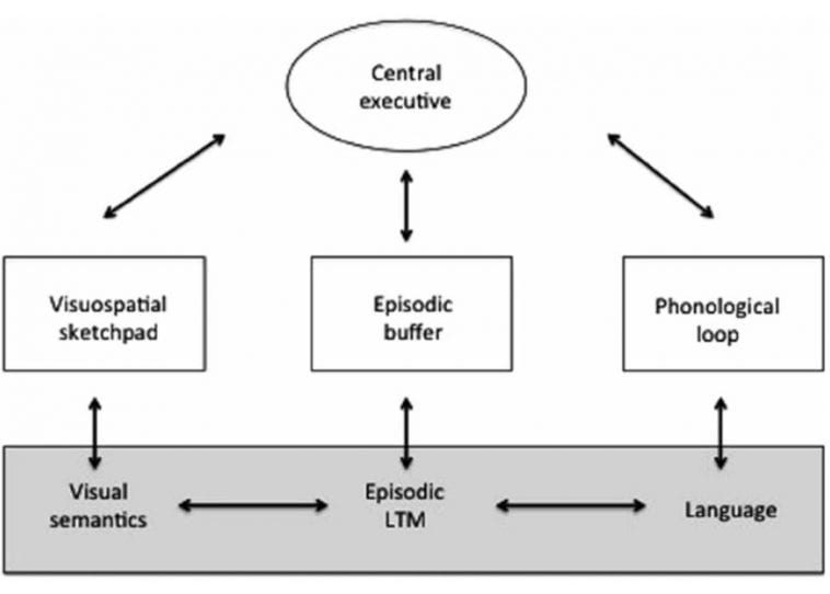Working Memory How Does It Work Plus 3 Ways To Keep It Sharp