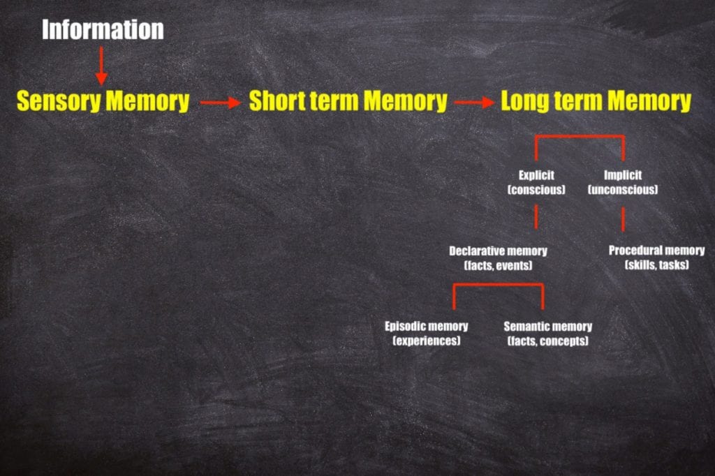 The 3 Major Types Memory And Every Subtype: A Complete Guide
