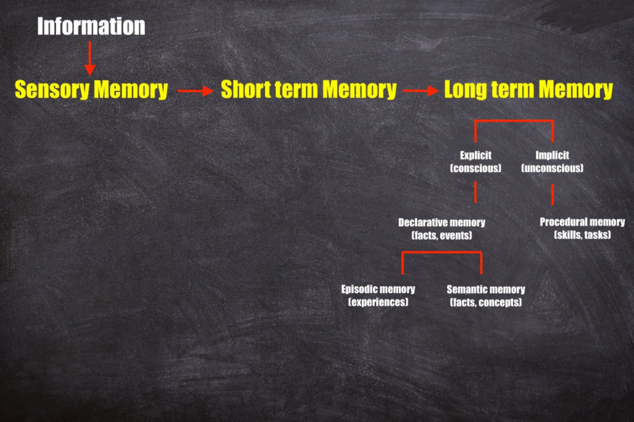 The 3 Major Types Memory And Every Subtype: A Complete Guide The 3 Major Types Memory And Every Subtype: A Complete Guide