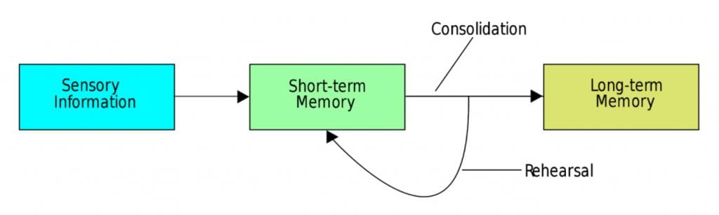 Anterograde vs Retrograde Amnesia: A Simple Guide