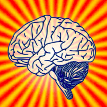 11 Brain Warm Up Exercises That Actually Work