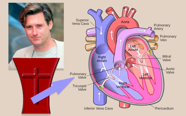 How to Remember Blood Flow Through the Heart: Easy Mnemonic Examples